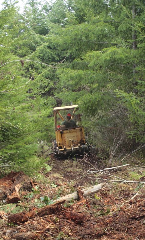 Trail Cutting Services for Clear Access Paths